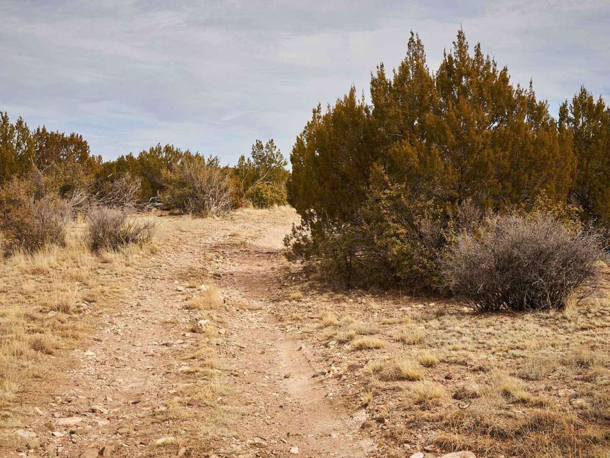 Sec7-Oo Tank Trail | Off-Road Trail Maps, Difficulty, Trail Status ...