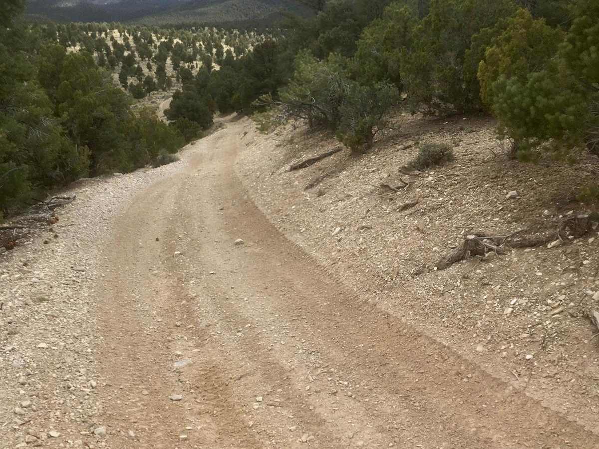Ice Plant Road | Off-Road Trail Maps, Difficulty, Trail Status | onX ...
