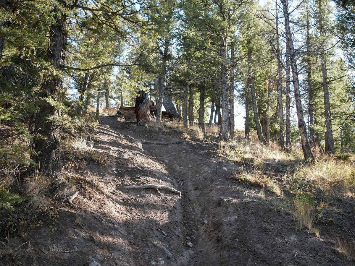 Little Wolford Mountain | Off-Road Trail Maps, Difficulty, Trail Status ...