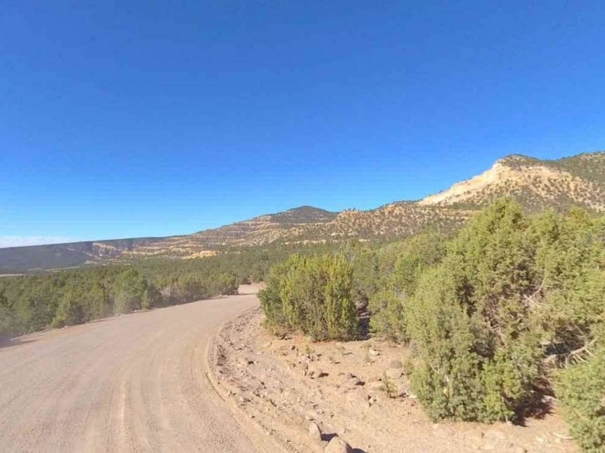 Pine Creek Road FS 30153 | Off-Road Trail Maps, Difficulty, Trail ...