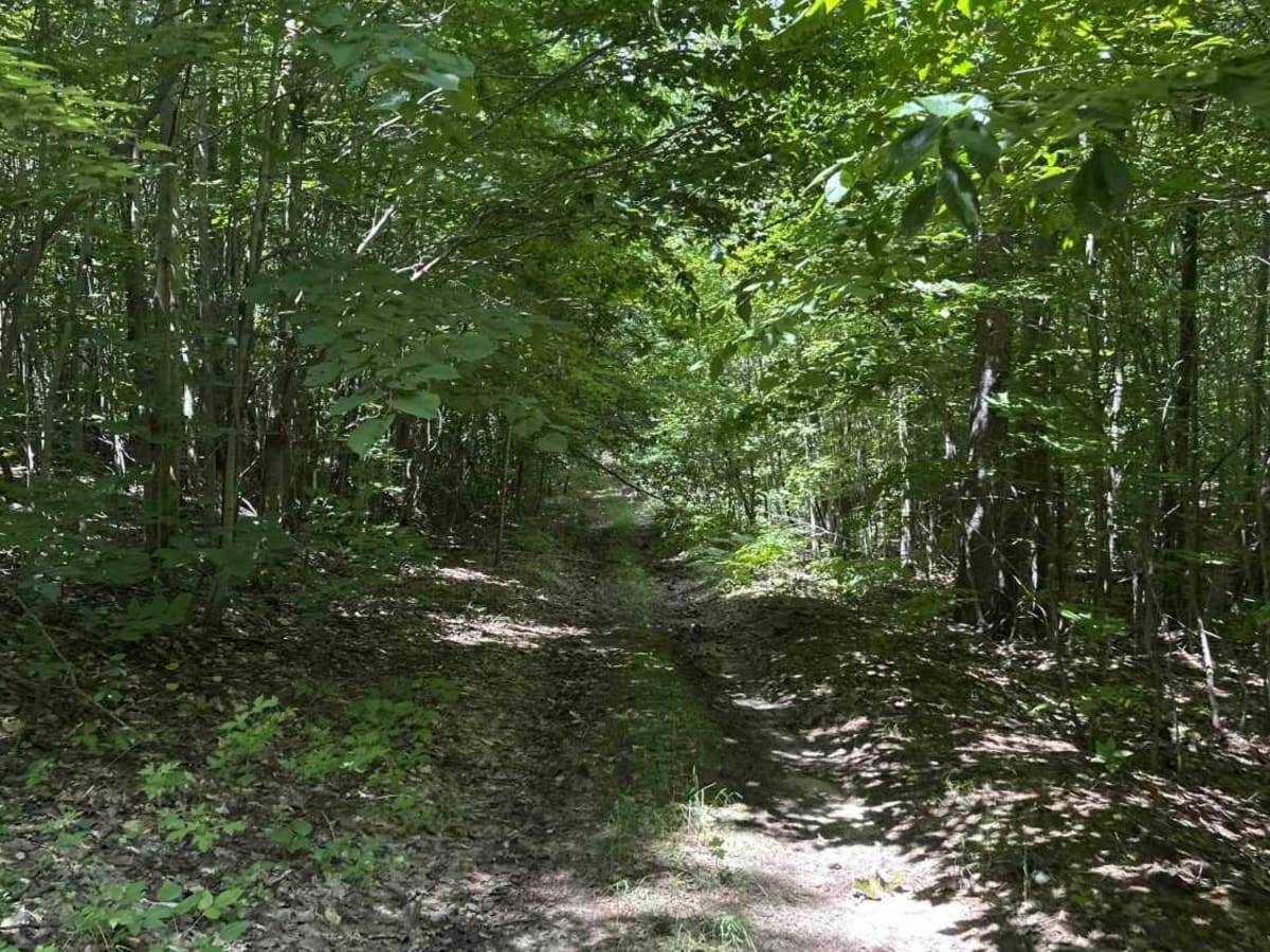 Shrek's Swamp | Off-Road Trail Maps, Difficulty, Trail Status | onX Offroad