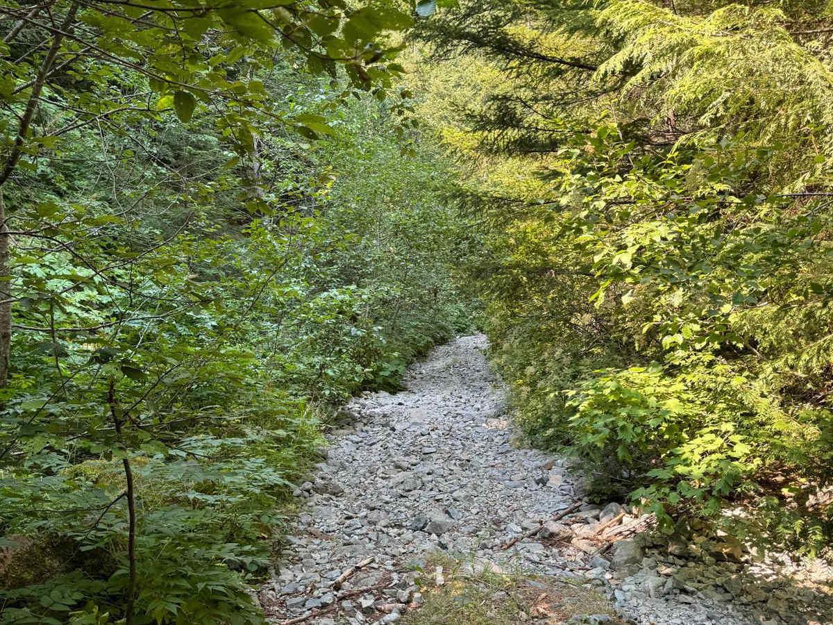 Bare Mountain Road | Off-Road Trail Maps, Difficulty, Trail Status ...