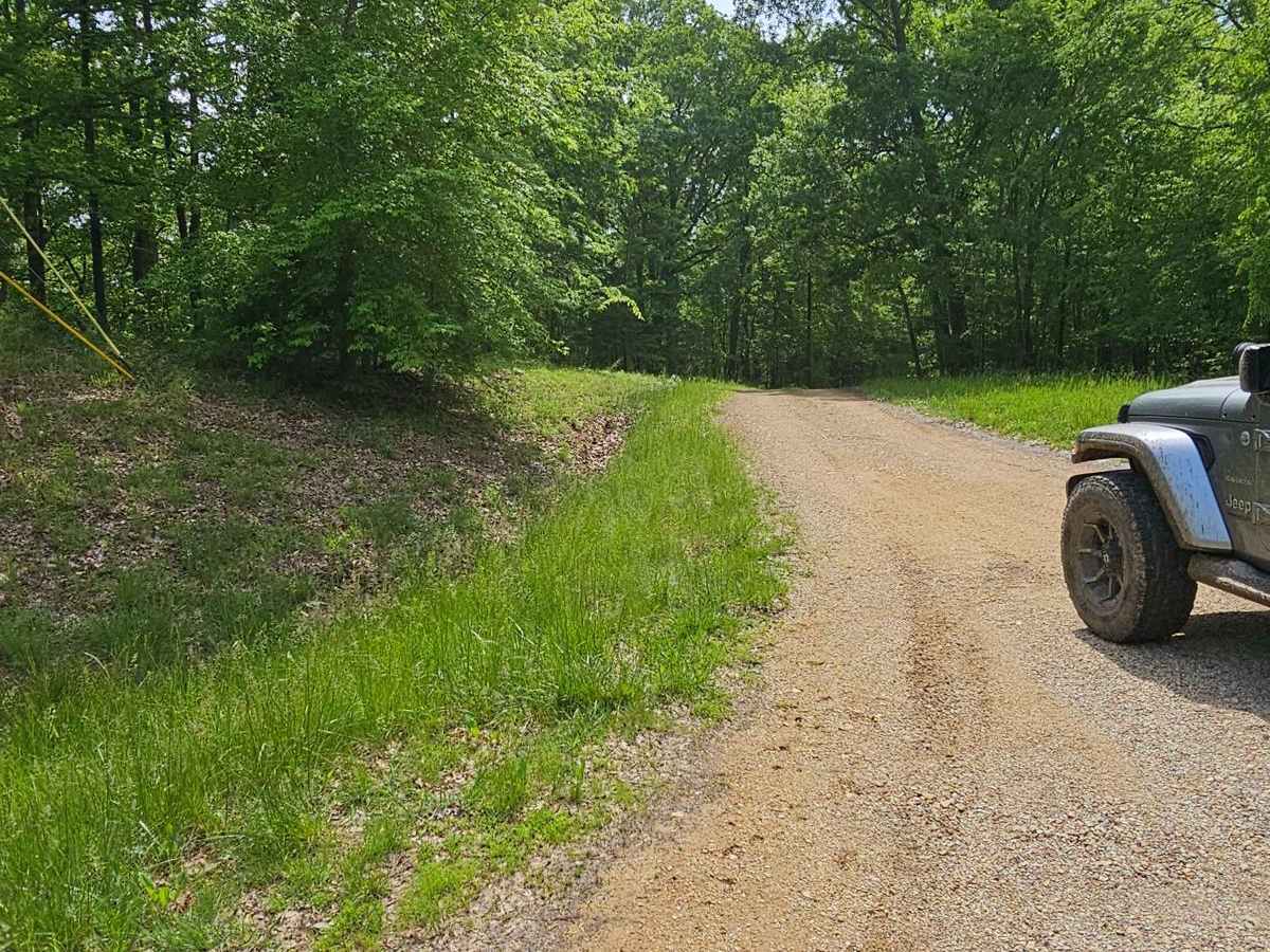 Forest Service Road 401 | Off-Road Trail Maps, Difficulty, Trail Status ...