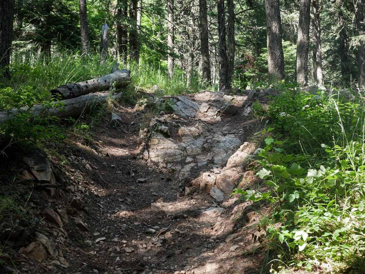 Canfield Mountain- Trail 5 | Off-Road Trail Maps, Difficulty, Trail ...