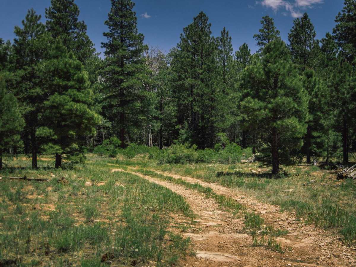 610q | Off-Road Trail Maps, Difficulty, Trail Status | onX Offroad