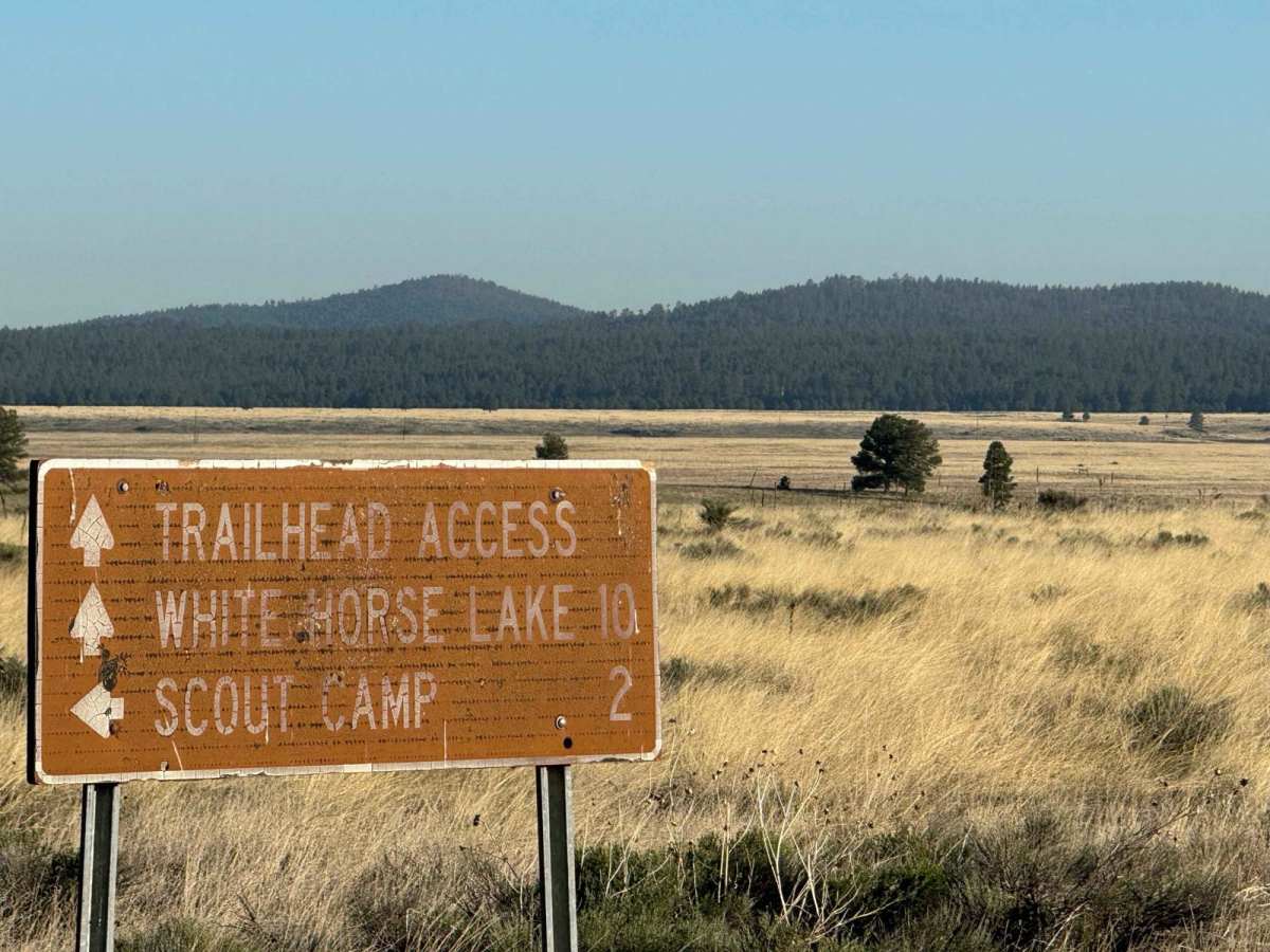 Sycamore Rim Overlook | Off-Road Trail Maps, Difficulty, Trail Status ...