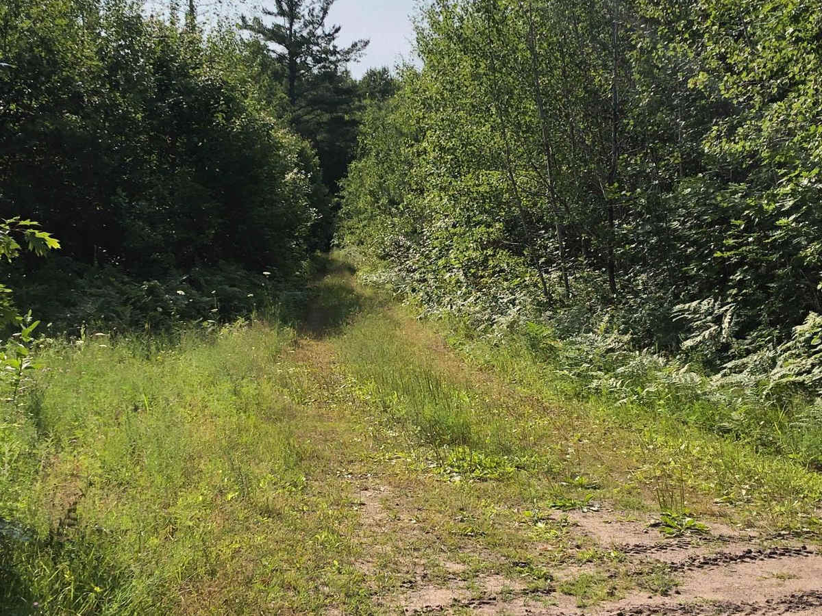 Lookout Road | Off-Road Trail Maps, Difficulty, Trail Status | onX Offroad