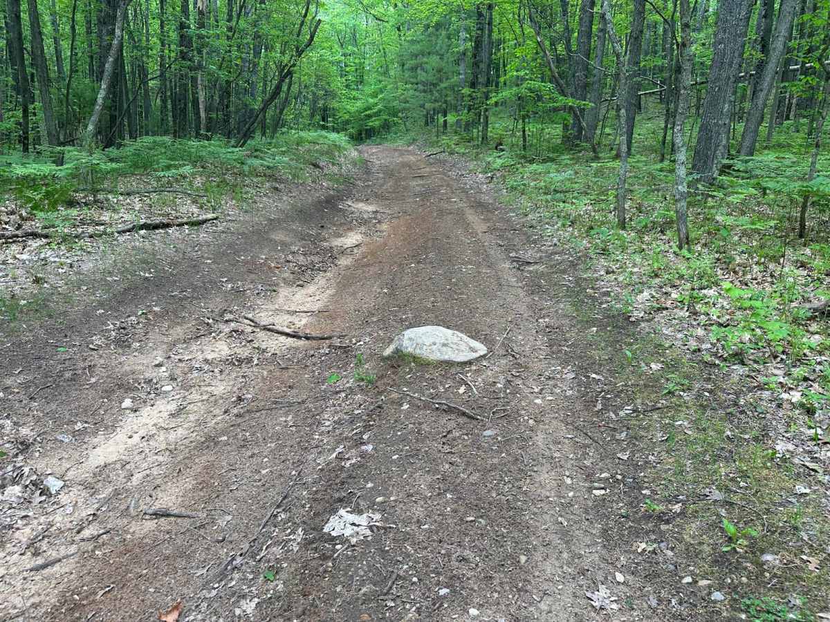 Red Bridge Tower Road | Off-Road Trail Maps, Difficulty, Trail Status ...