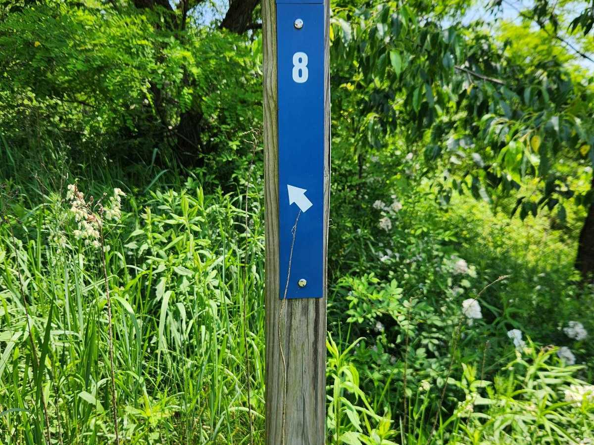 Trail 8 - Rock Run Recreation Area | Off-Road Trail Maps, Difficulty ...