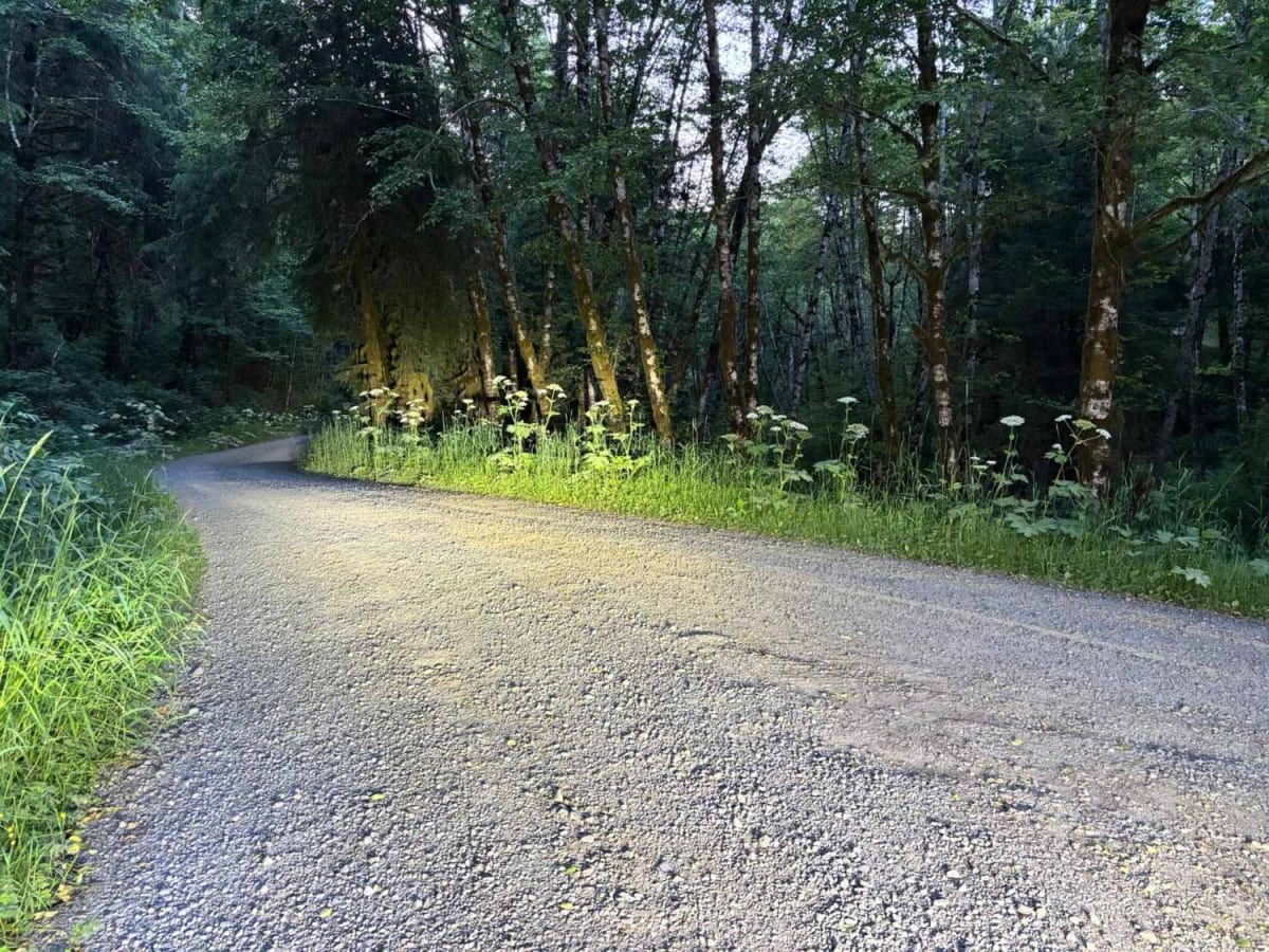 Shiffman Road | Off-Road Trail Maps, Difficulty, Trail Status | onX Offroad