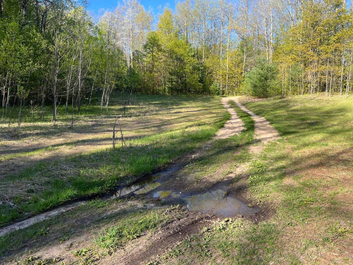 25 Loop Trail | Off-Road Trail Maps, Difficulty, Trail Status | onX Offroad