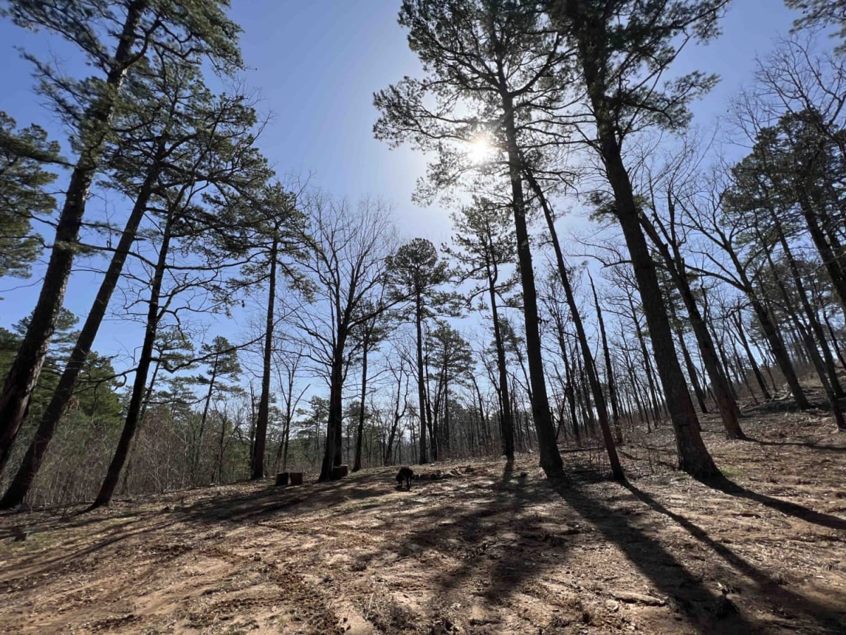 Posey Hollow 76 | Off-Road Trail Maps, Difficulty, Trail Status | onX ...