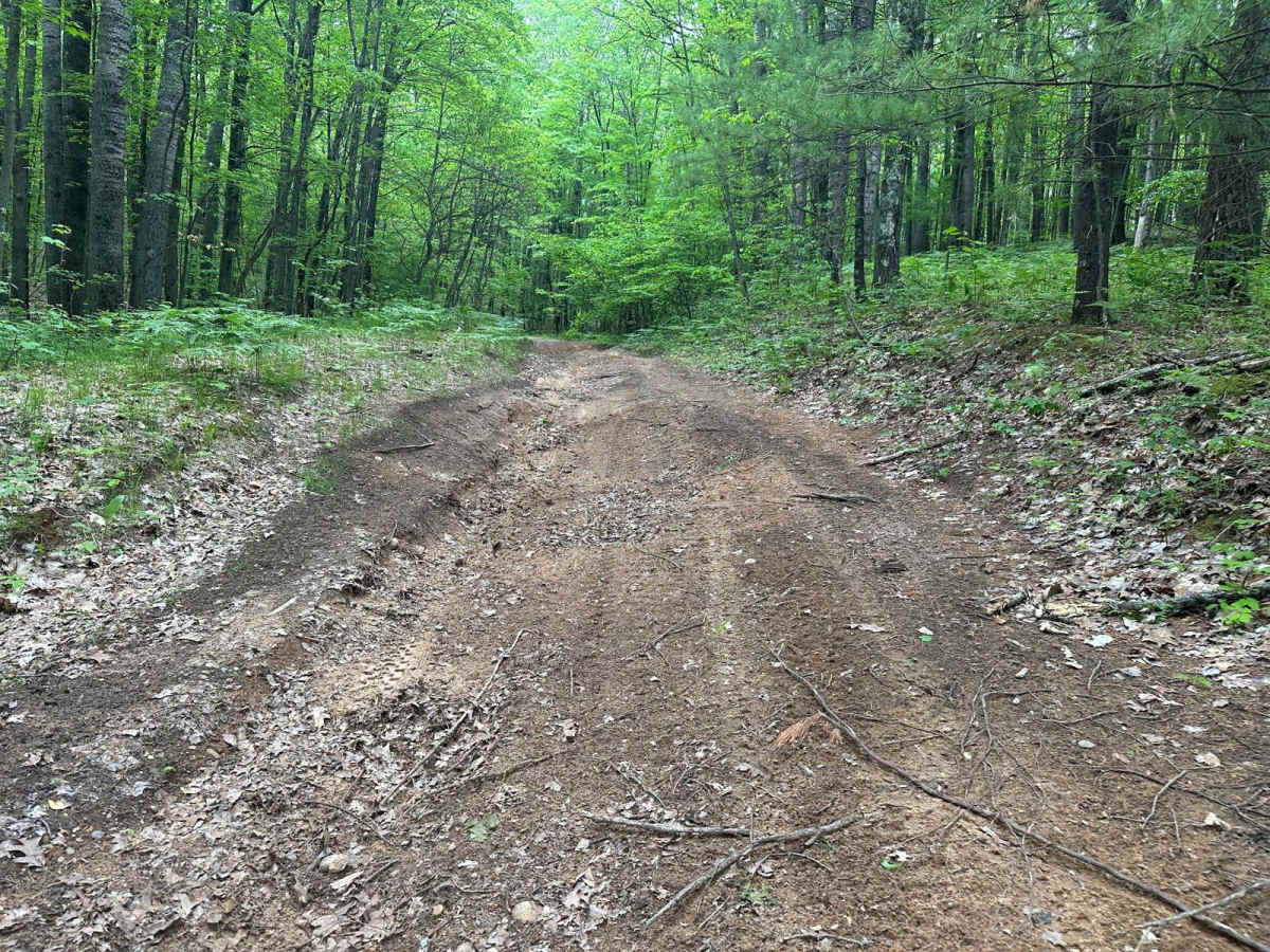 Red Bridge Tower Road | Off-Road Trail Maps, Difficulty, Trail Status ...