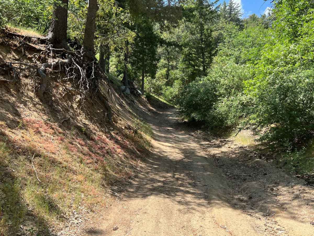 Burnt Mill | Off-Road Trail Maps, Difficulty, Trail Status | onX Offroad