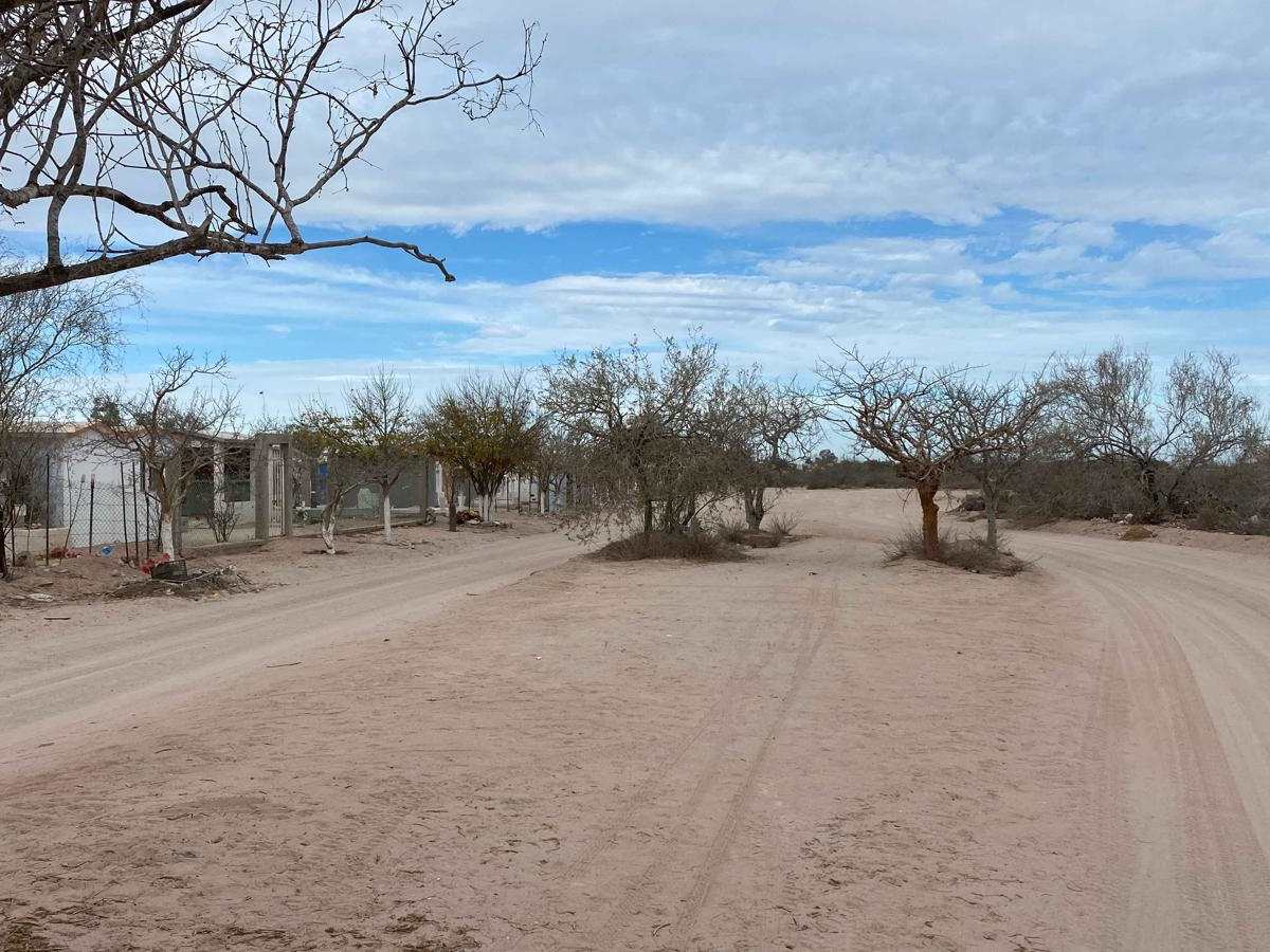 Ruta Arrancones | Off-Road Trail Maps, Difficulty, Trail Status | onX ...