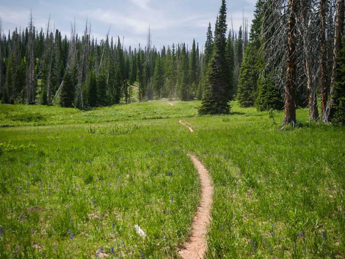 Farwell Mountain | Off-Road Trail Maps, Difficulty, Trail Status | onX ...