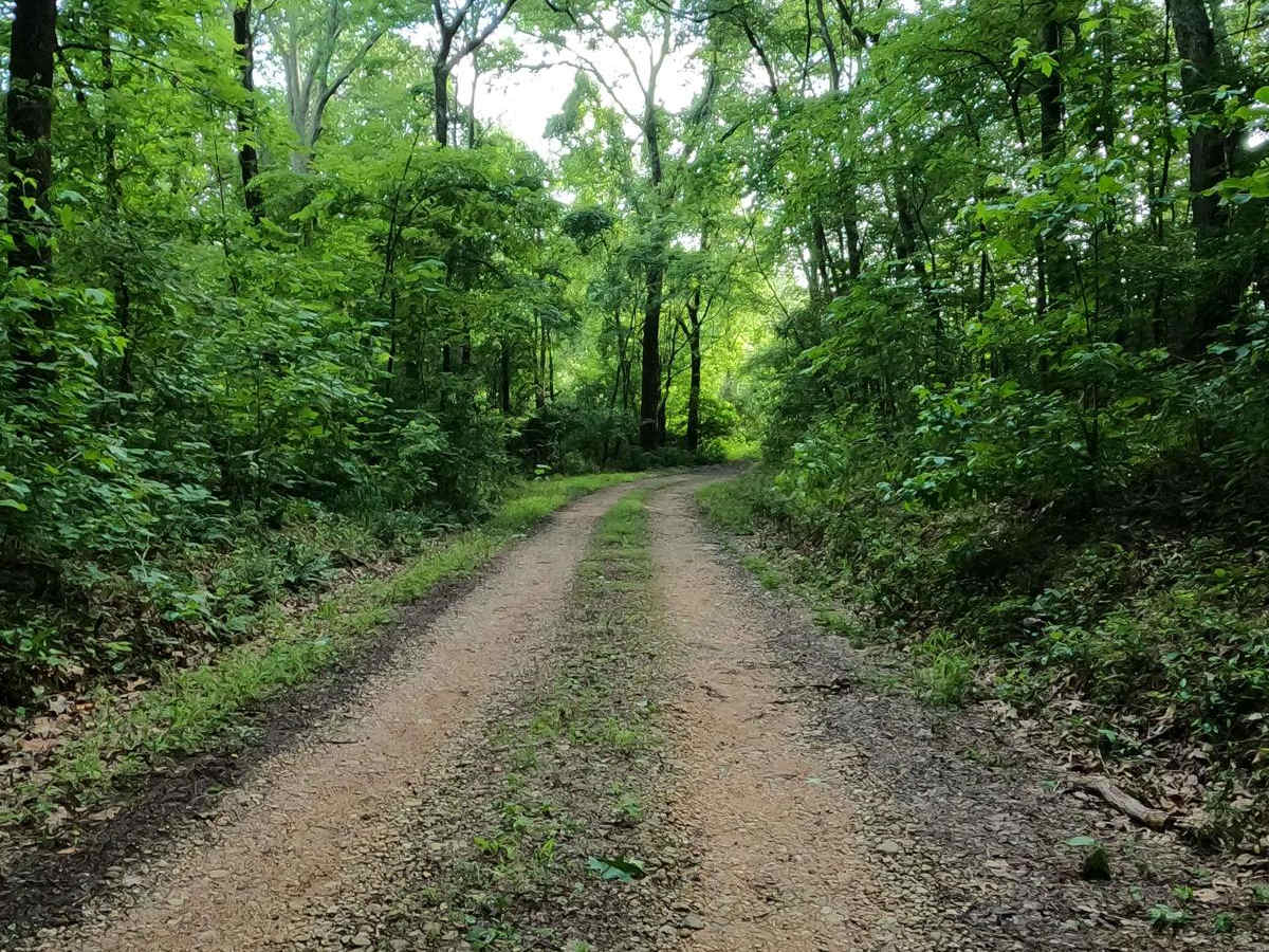 Turkey Creek Cemetery Road - FS 413 | Off-Road Trail Maps, Difficulty ...