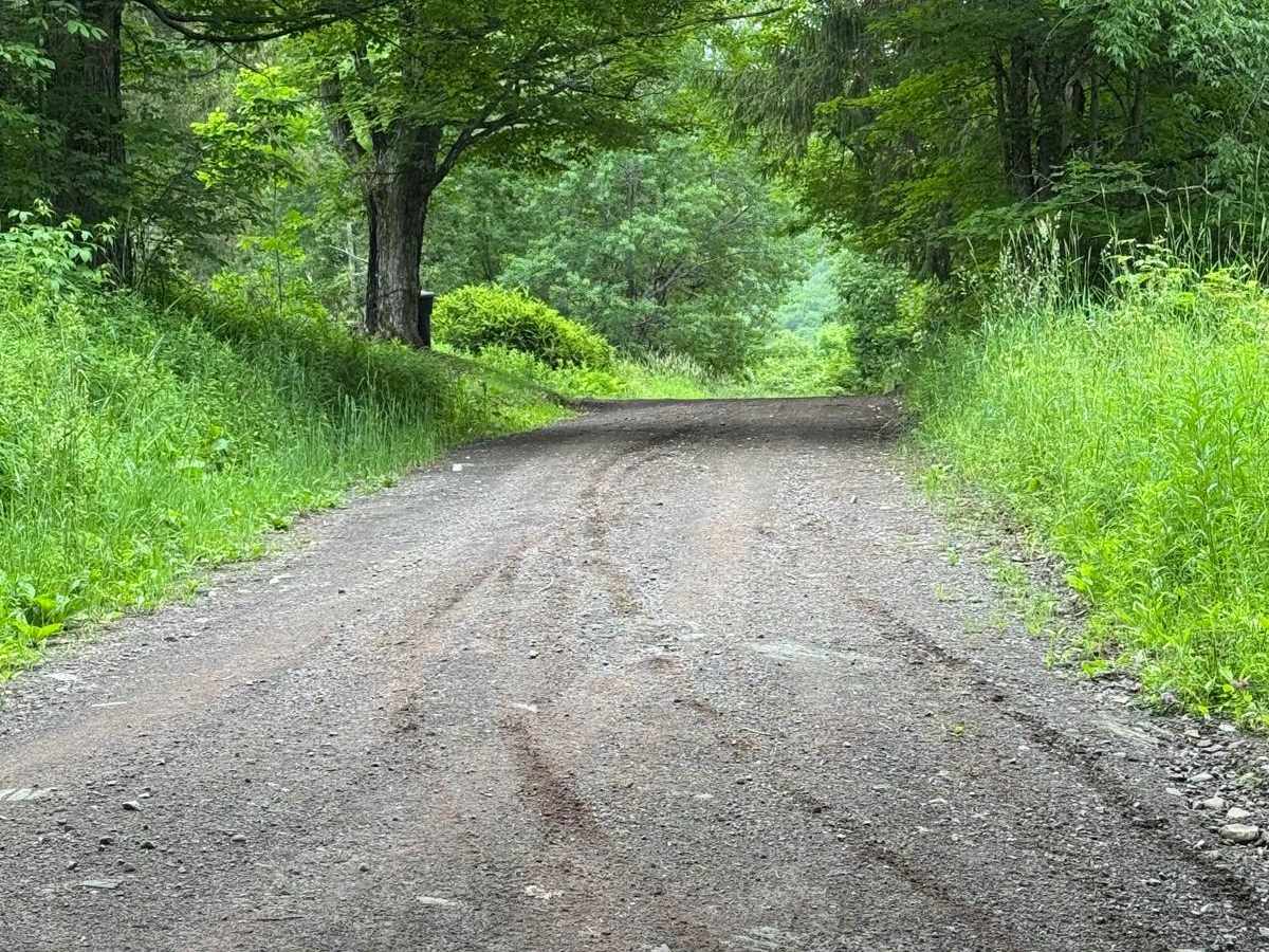 Skunk Hollow Road | Off-Road Trail Maps, Difficulty, Trail Status | onX ...