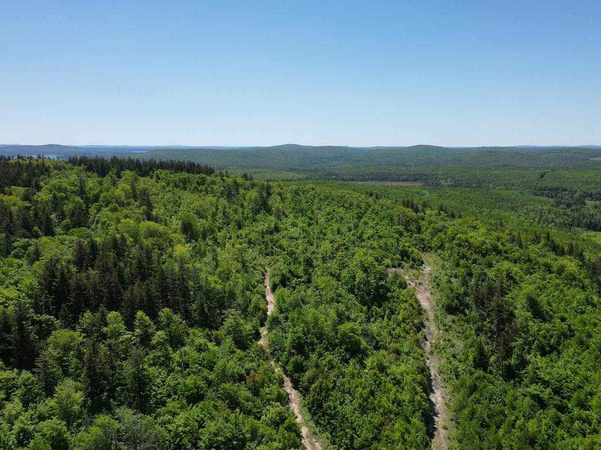 Flat Top Mountain | Off-Road Trail Maps, Difficulty, Trail Status | onX ...