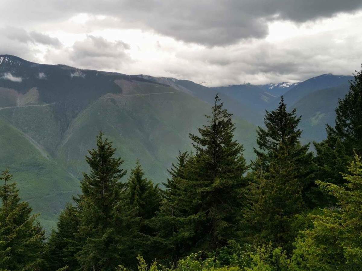 Boston Bar to Fire Tower | Off-Road Trail Maps, Difficulty, Trail ...