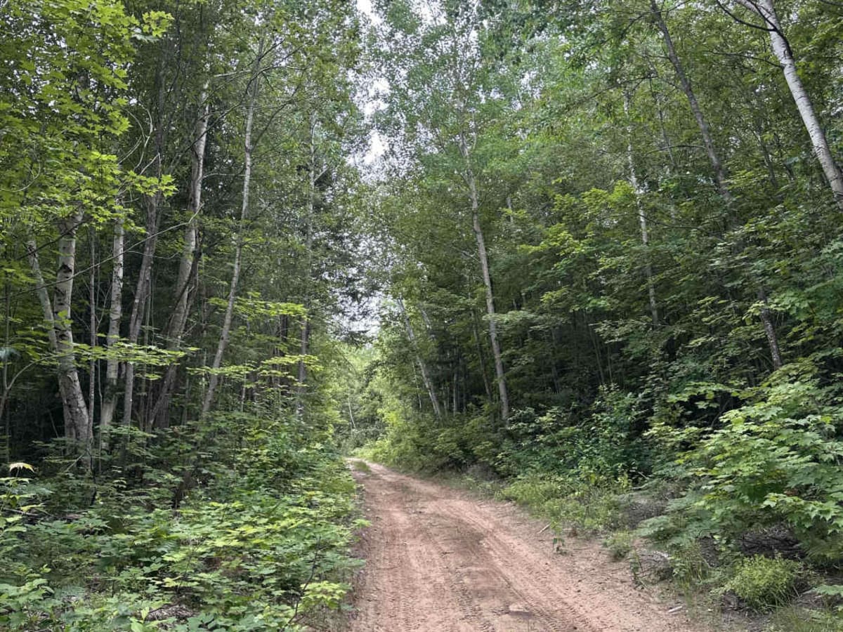 Camp One | Off-Road Trail Maps, Difficulty, Trail Status | onX Offroad