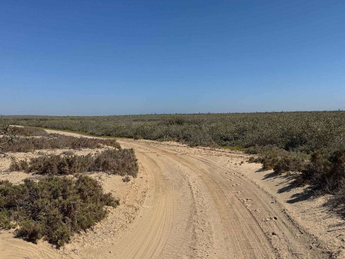 Lowlands East | Off-Road Trail Maps, Difficulty, Trail Status | onX Offroad