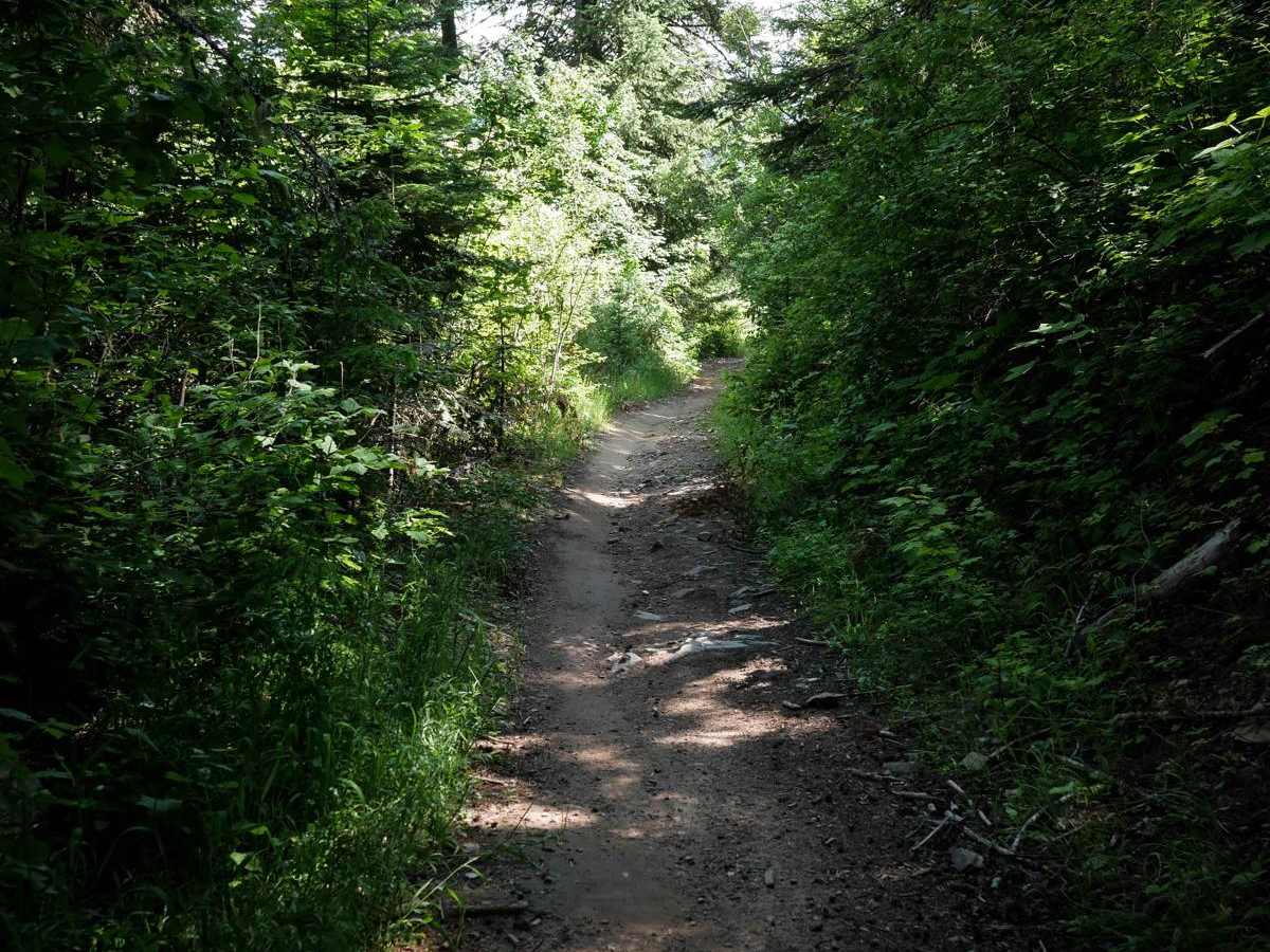Canfield Mountain- Trail 6 | Off-Road Trail Maps, Difficulty, Trail ...