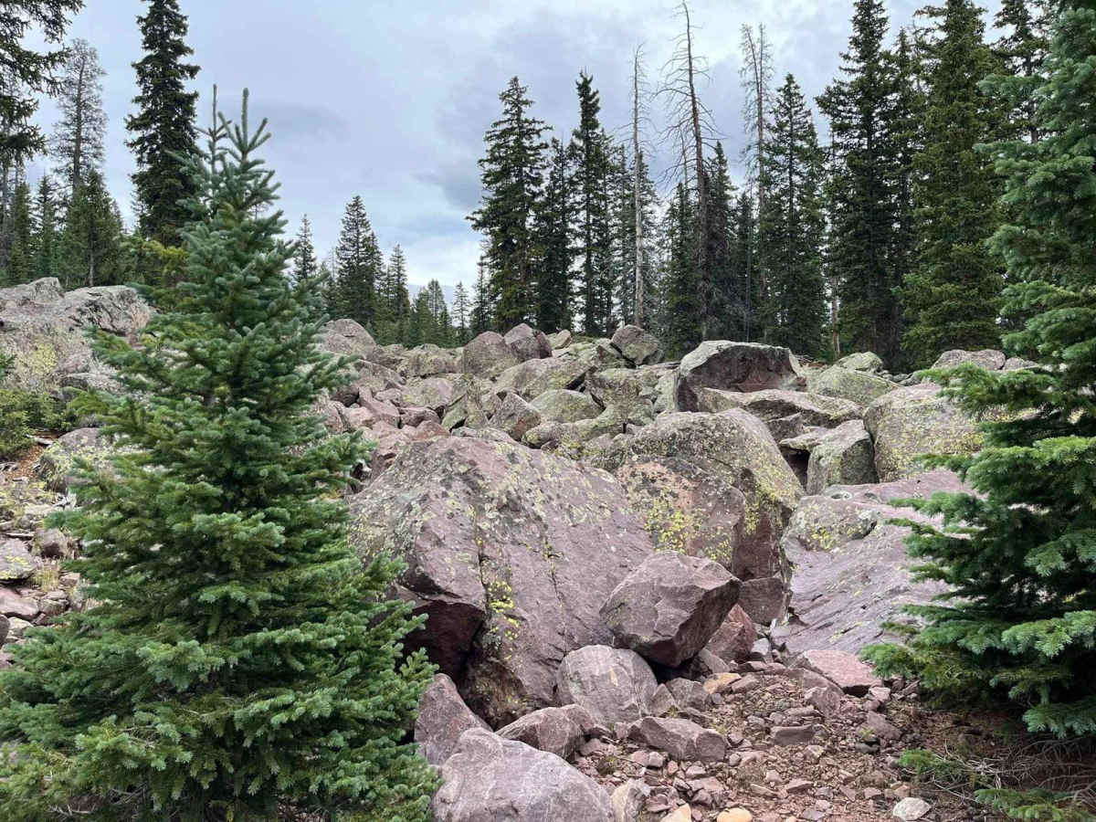 Cliff Lake | Off-Road Trail Maps, Difficulty, Trail Status | onX Offroad