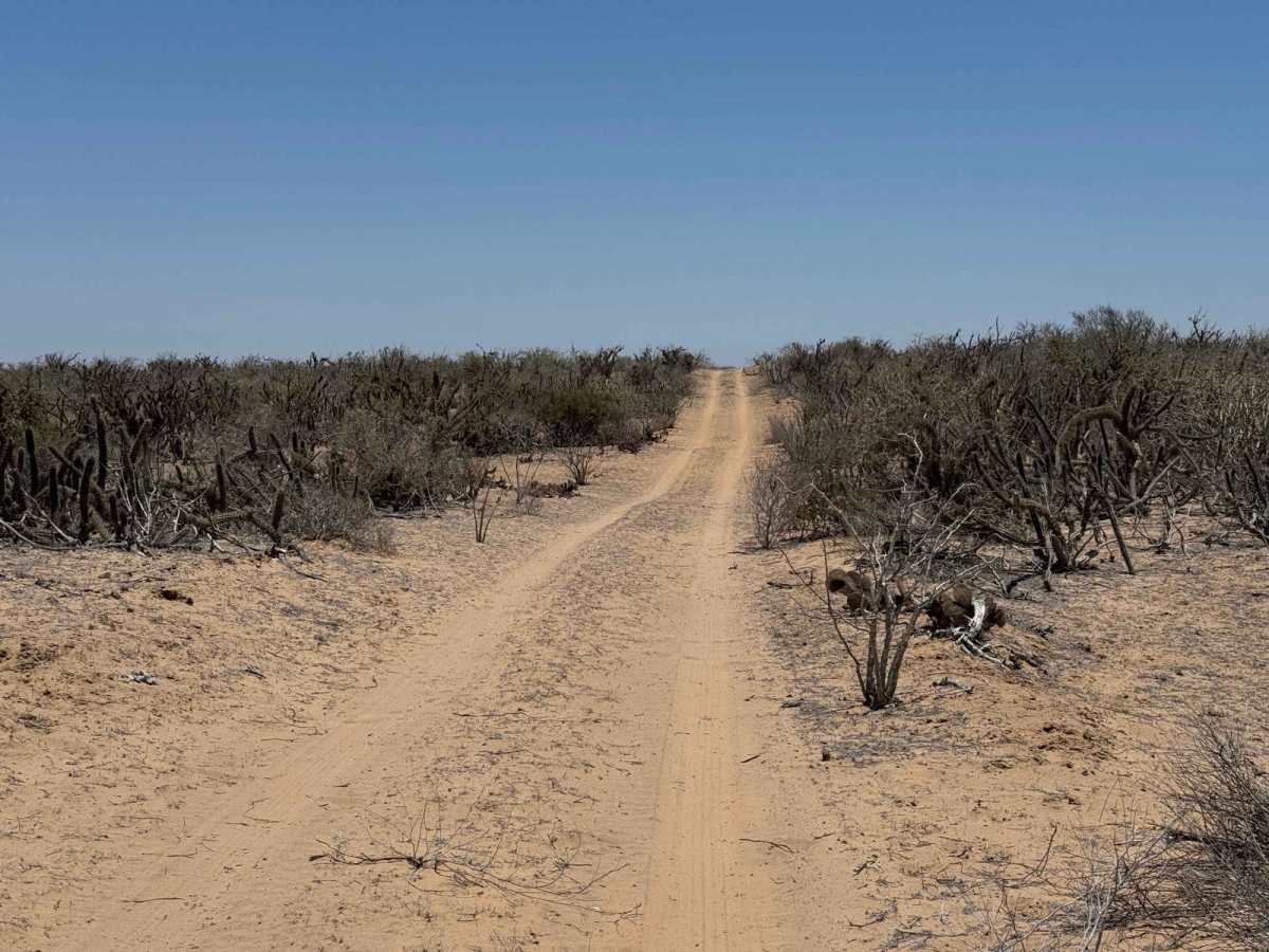 North-South Low Cross | Off-Road Trail Maps, Difficulty, Trail Status ...
