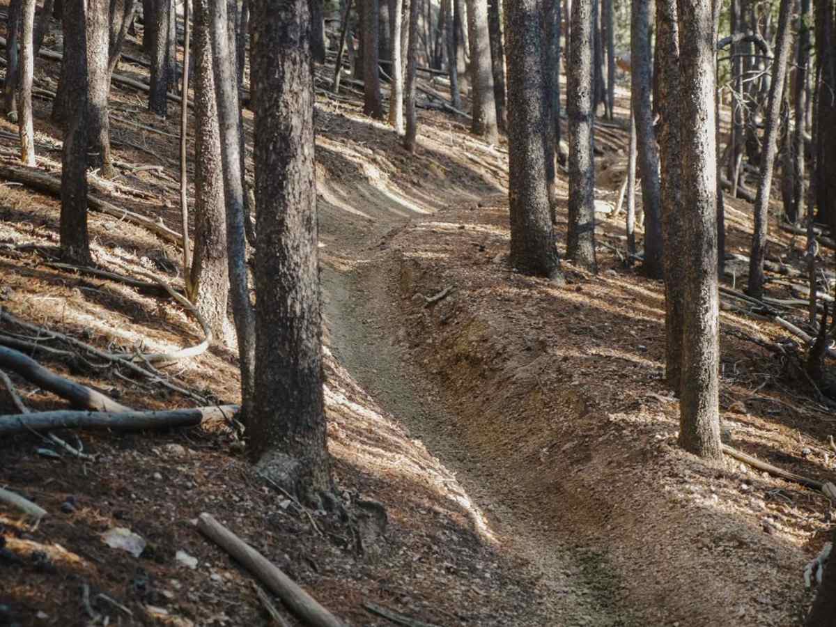 770 Watson Park | Off-Road Trail Maps, Difficulty, Trail Status | onX ...