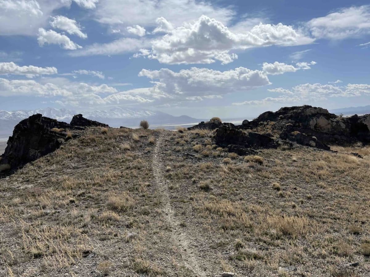 Rock Fight | Off-Road Trail Maps, Difficulty, Trail Status | onX Offroad