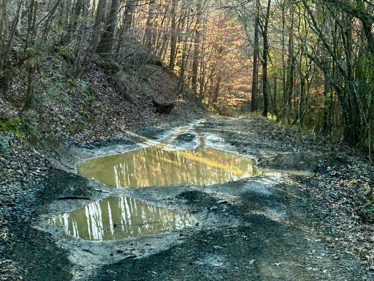 300A | Off-Road Trail Maps, Difficulty, Trail Status | onX Offroad