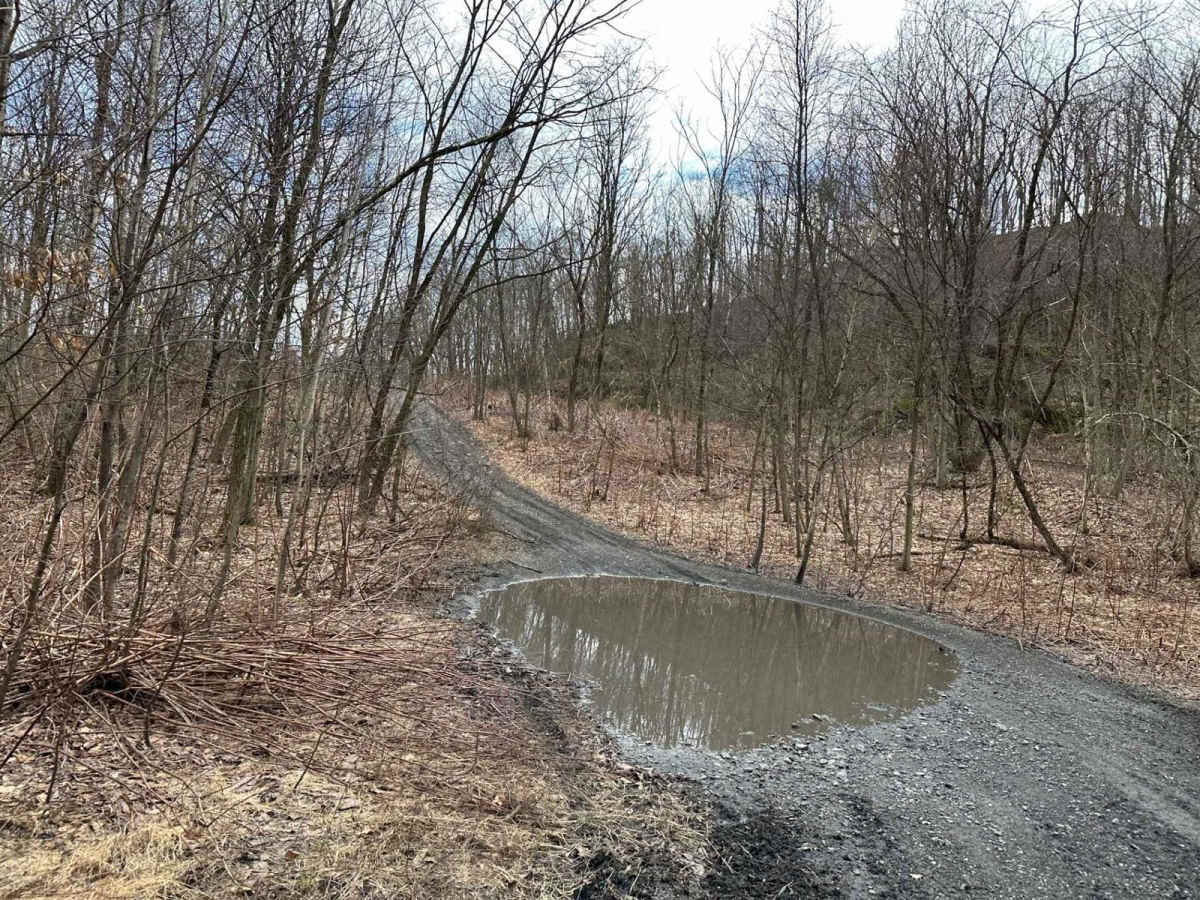 Ashland 31 | Off-Road Trail Maps, Difficulty, Trail Status | onX Offroad