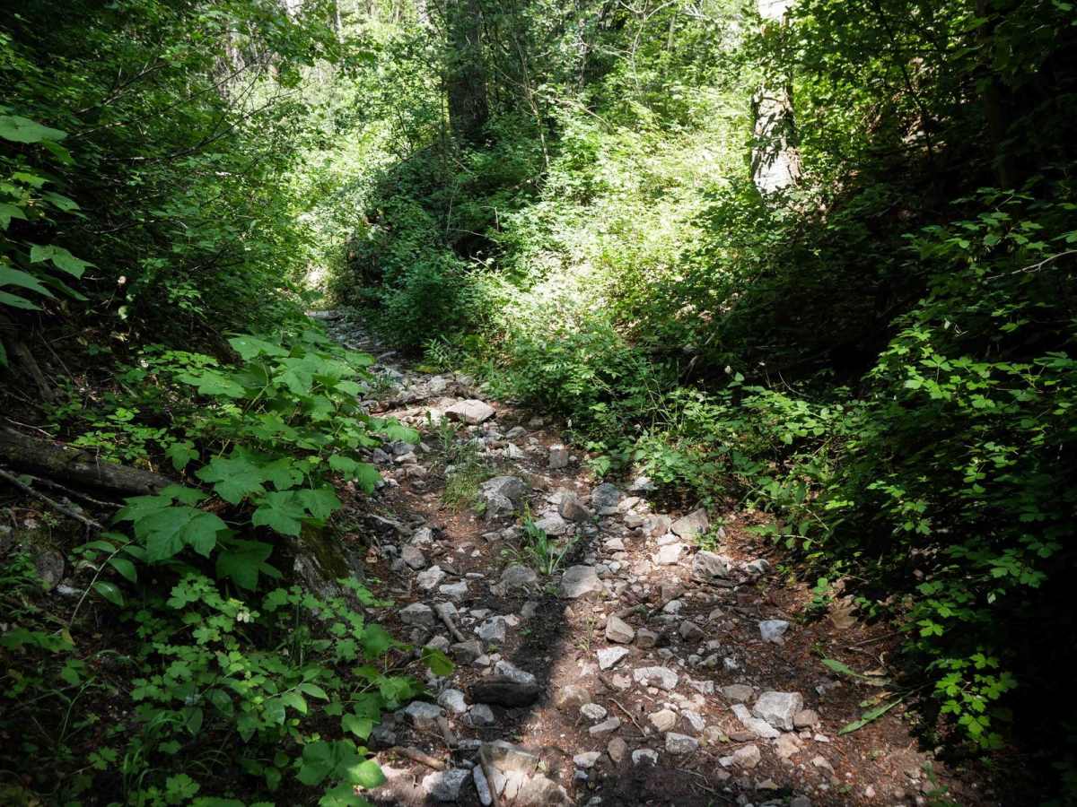 Cheatbeck #3350 | Off-Road Trail Maps, Difficulty, Trail Status | onX ...