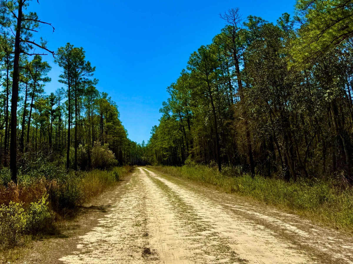 Otter Camp South - FS 344 | Off-Road Trail Maps, Difficulty, Trail ...