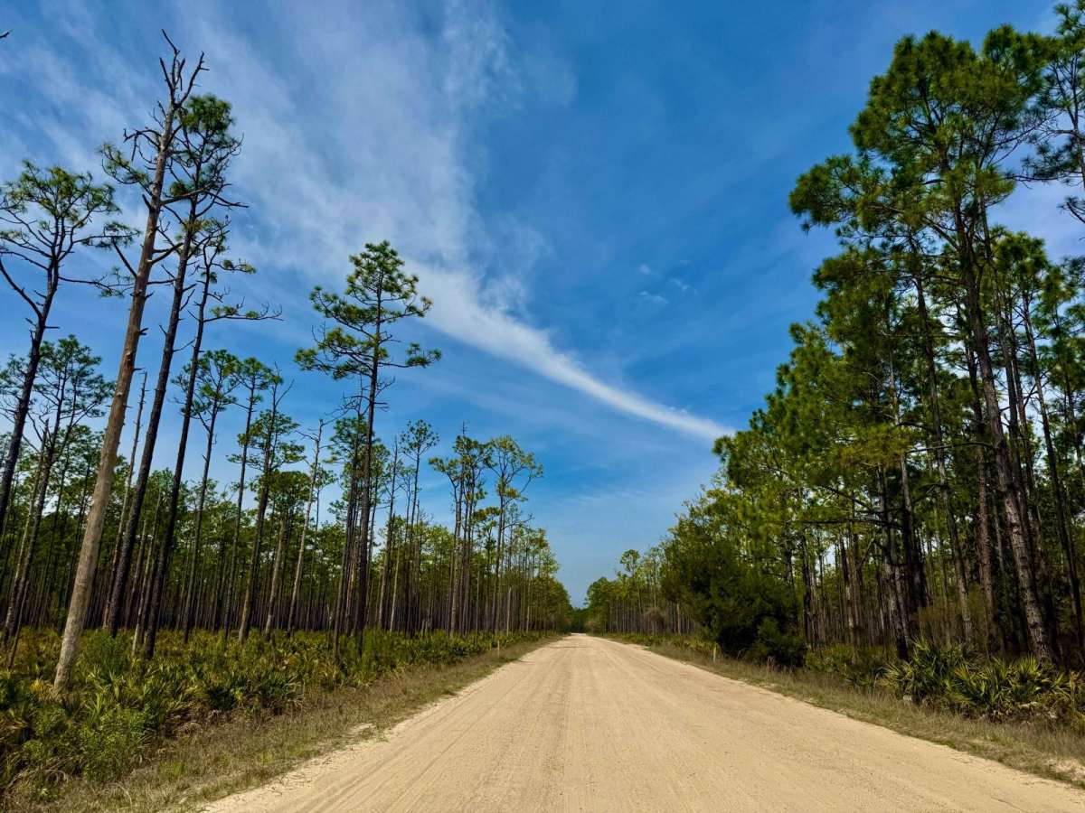 Forest Highway 13 | Off-Road Trail Maps, Difficulty, Trail Status | onX ...