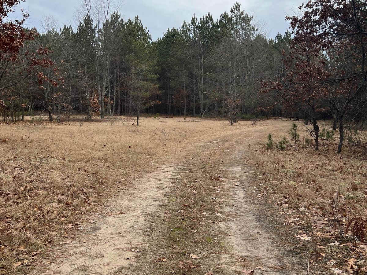 East Lake Loop (NFS 9717/9105/9107) | Off-Road Trail Maps, Difficulty ...