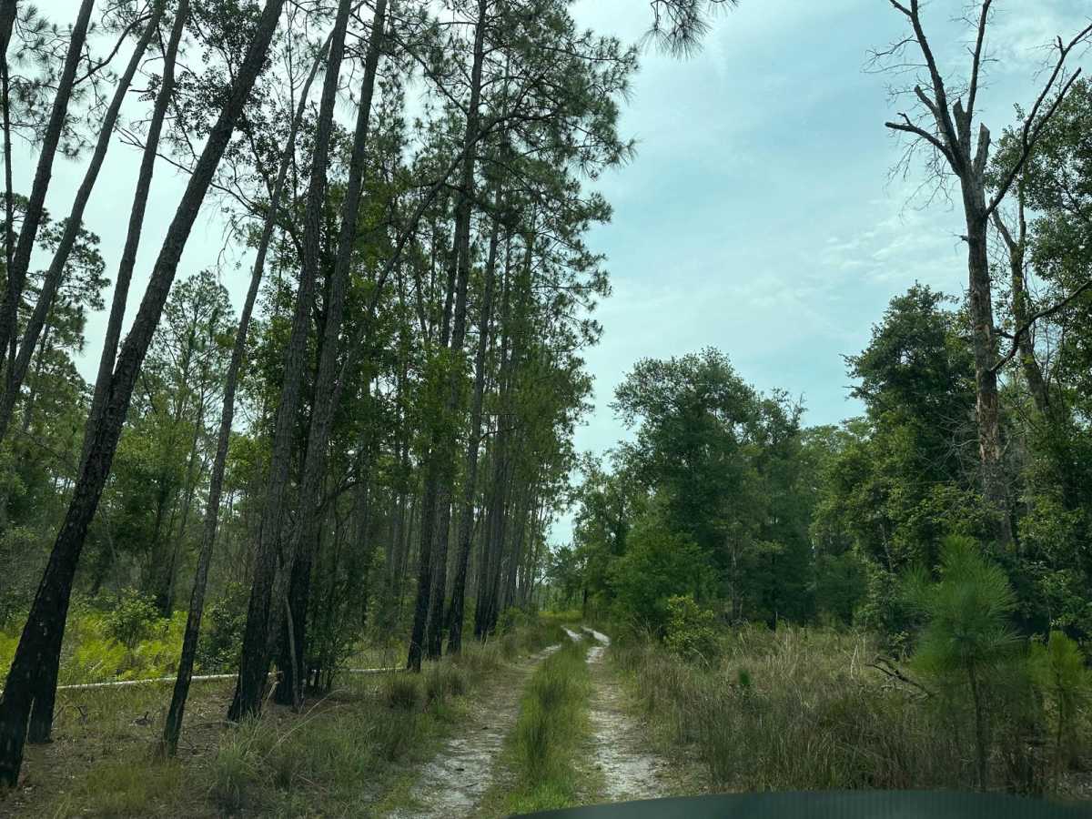Withlacoochee State Forest and 471 Loop | Off-Road Trail Maps ...