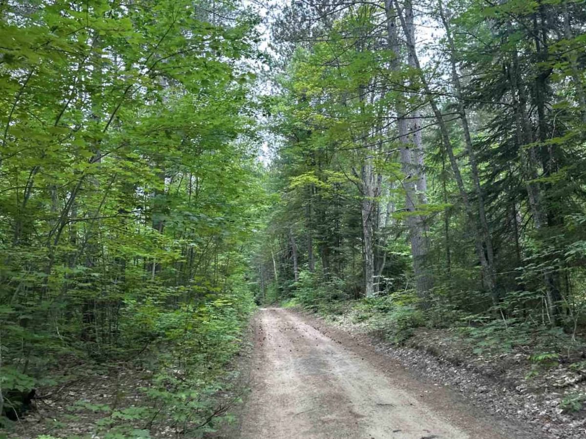 Camp One | Off-Road Trail Maps, Difficulty, Trail Status | onX Offroad