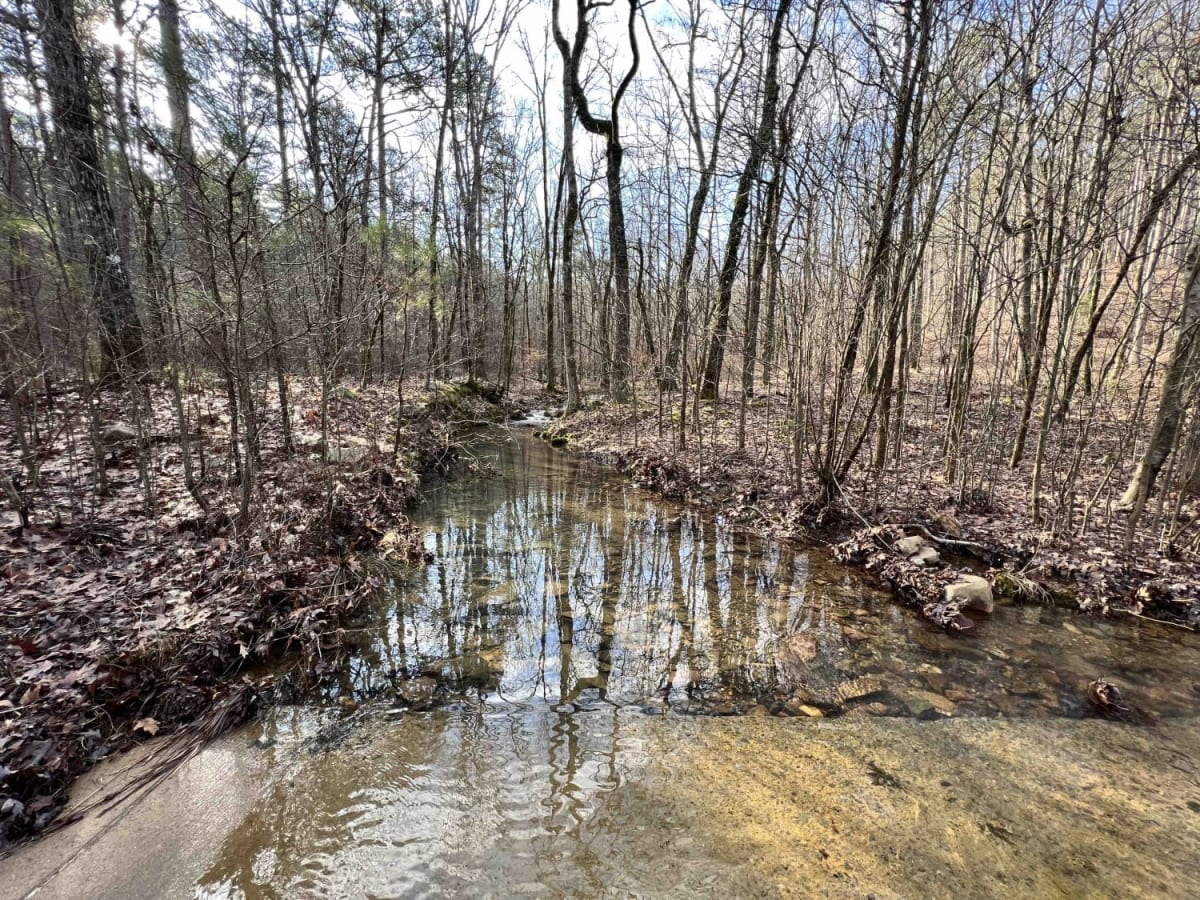 Brown Creek Road 805 | Off-Road Trail Maps, Difficulty, Trail Status ...