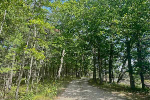 Best Off-Road Trails Near Pilgrim, Michigan | Maps, Ratings & Info | onX