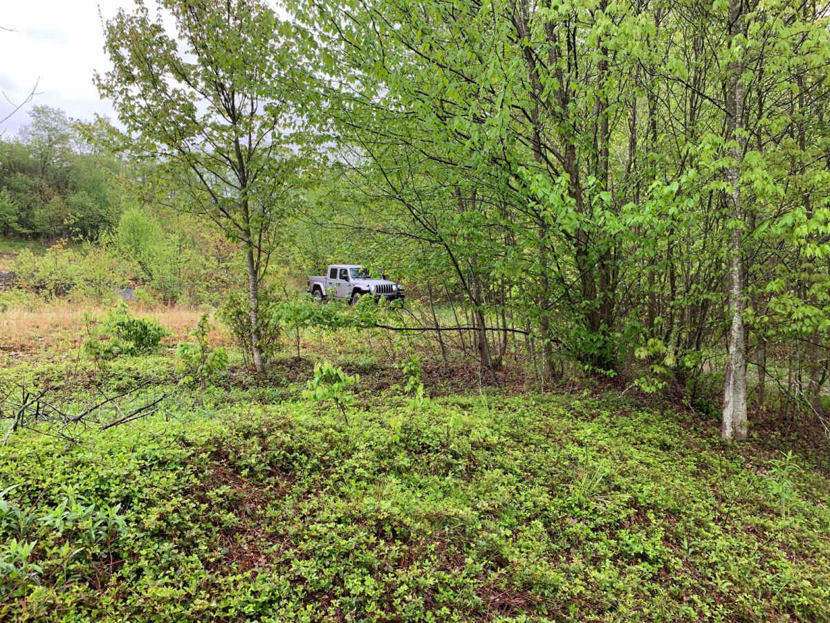 FR339/237 Red Lick/Red Mill | Off-Road Trail Maps, Difficulty, Trail ...