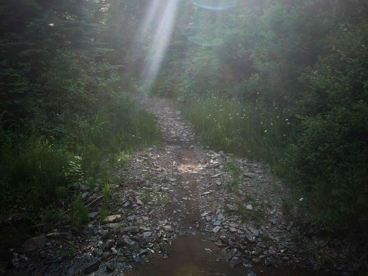 Canfield Mountain- Trail 9 | Off-Road Trail Maps, Difficulty, Trail ...