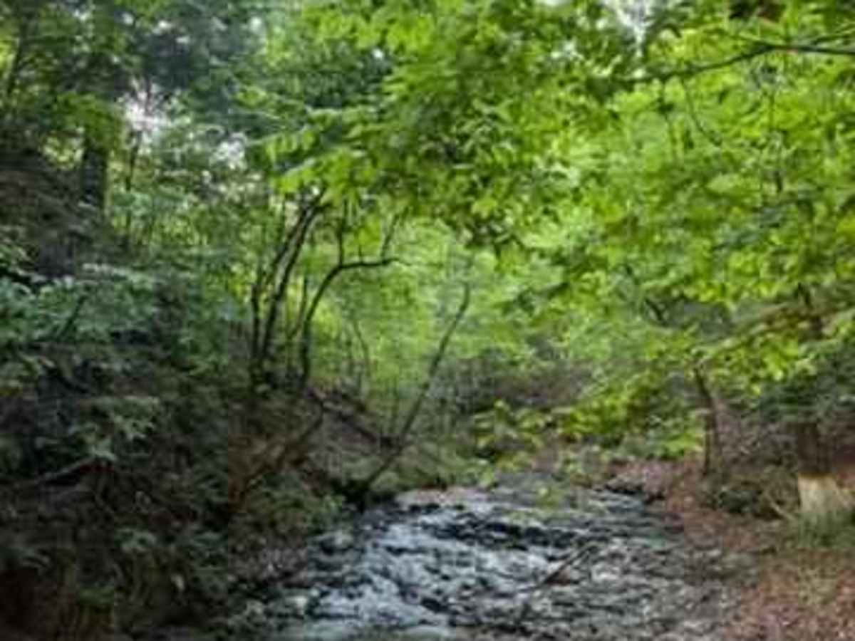 Jeff's Trail | Off-Road Trail Maps, Difficulty, Trail Status | onX Offroad