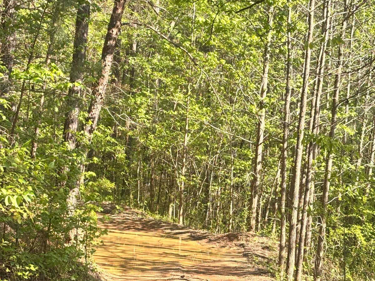 416 | Off-Road Trail Maps, Difficulty, Trail Status | onX Offroad