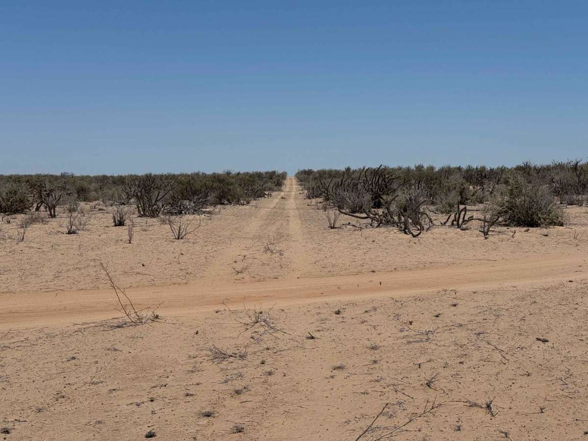 North-South Low Cross | Off-Road Trail Maps, Difficulty, Trail Status ...