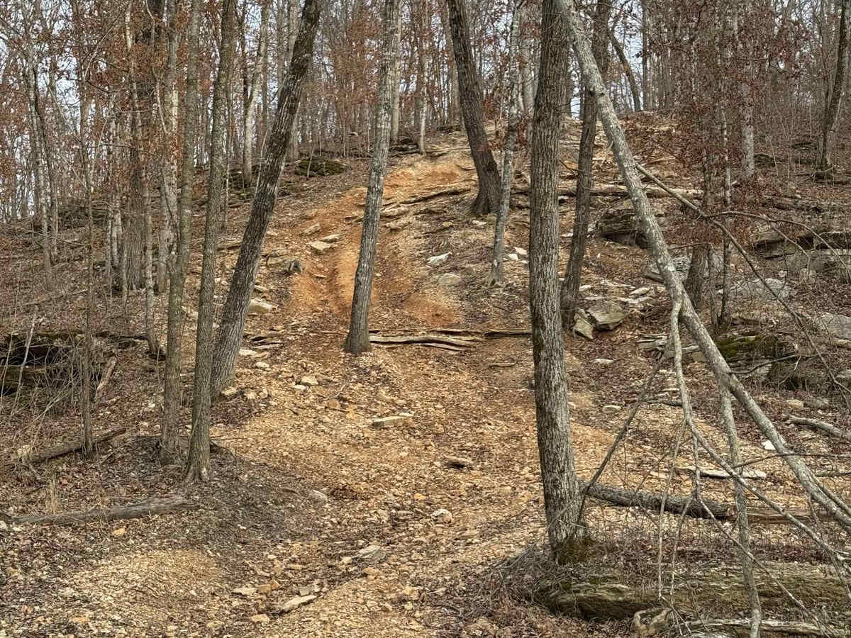 Red 397 | Off-Road Trail Maps, Difficulty, Trail Status | onX Offroad