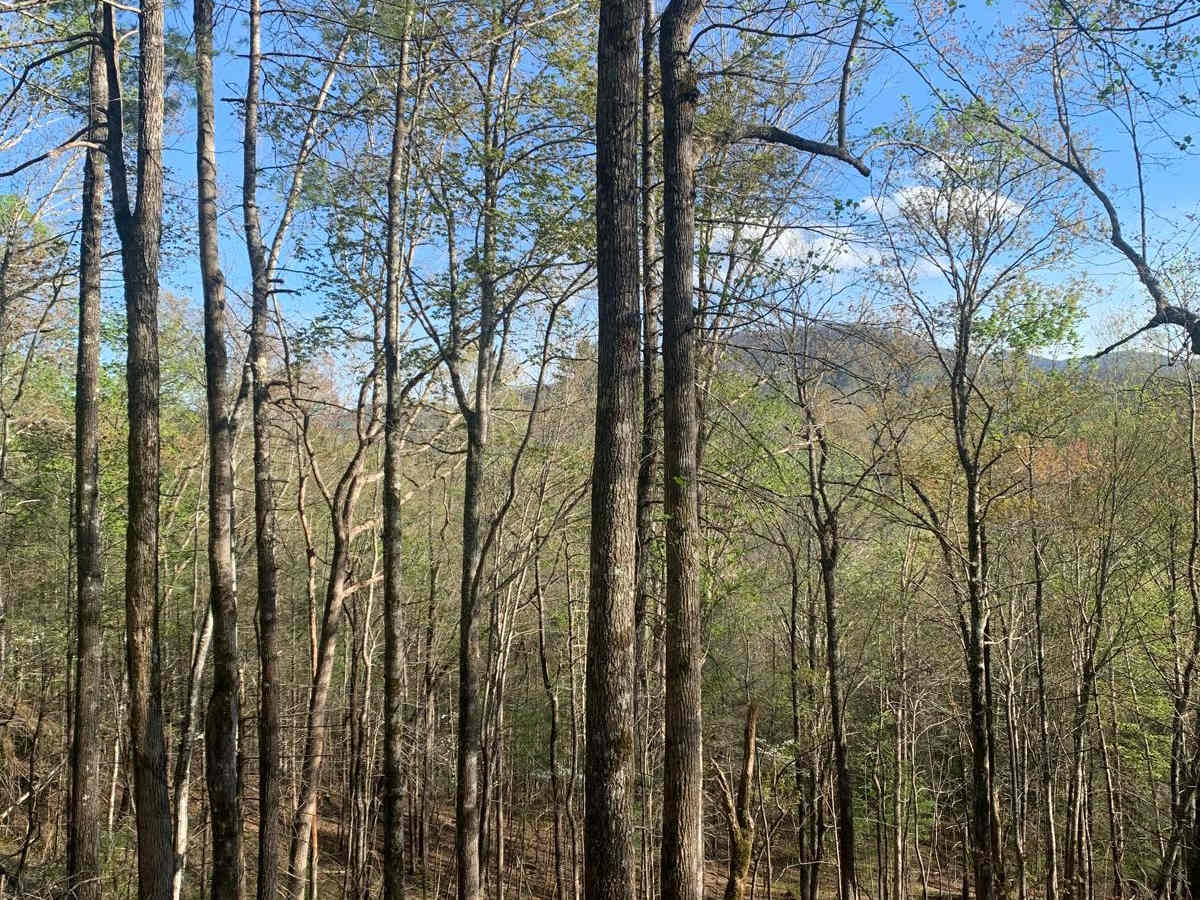 North River Shortcut - 216 | Off-Road Trail Maps, Difficulty, Trail ...