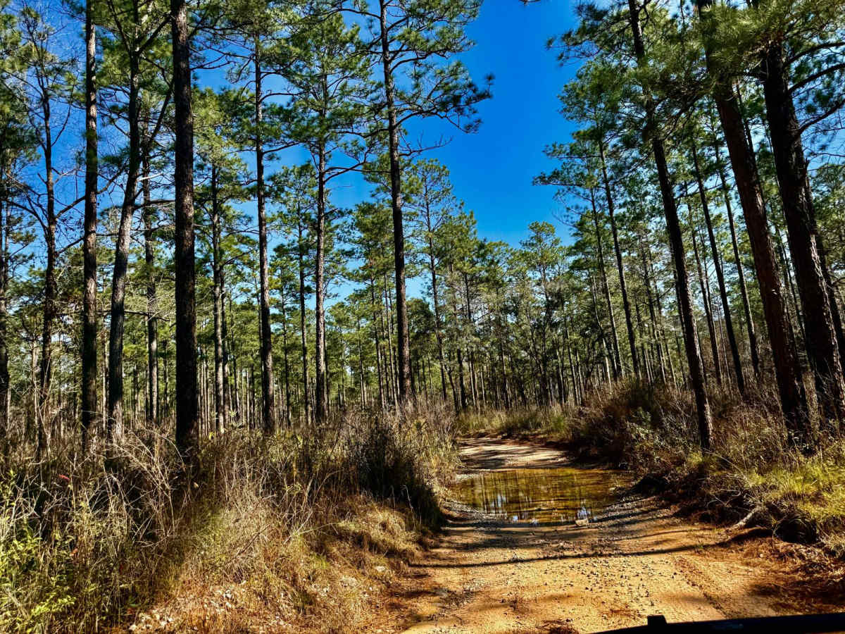 Florida State R57 | Off-Road Trail Maps, Difficulty, Trail Status | onX ...