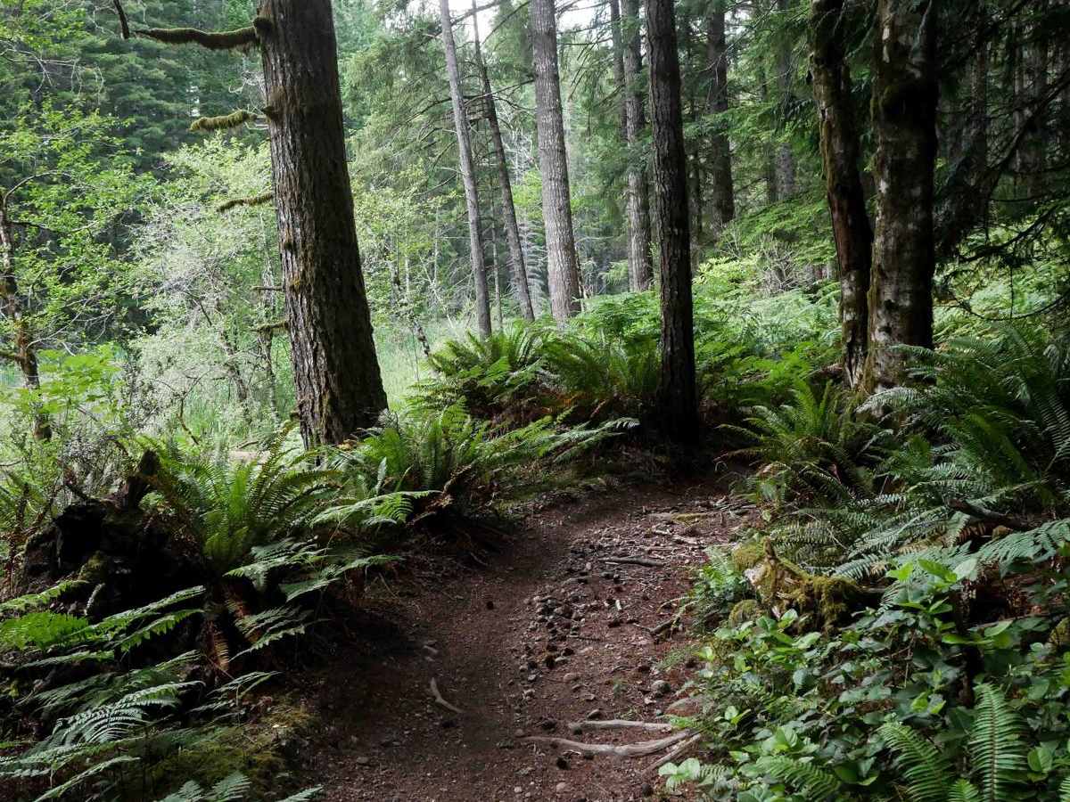Pauls Grade | Off-Road Trail Maps, Difficulty, Trail Status | onX Offroad